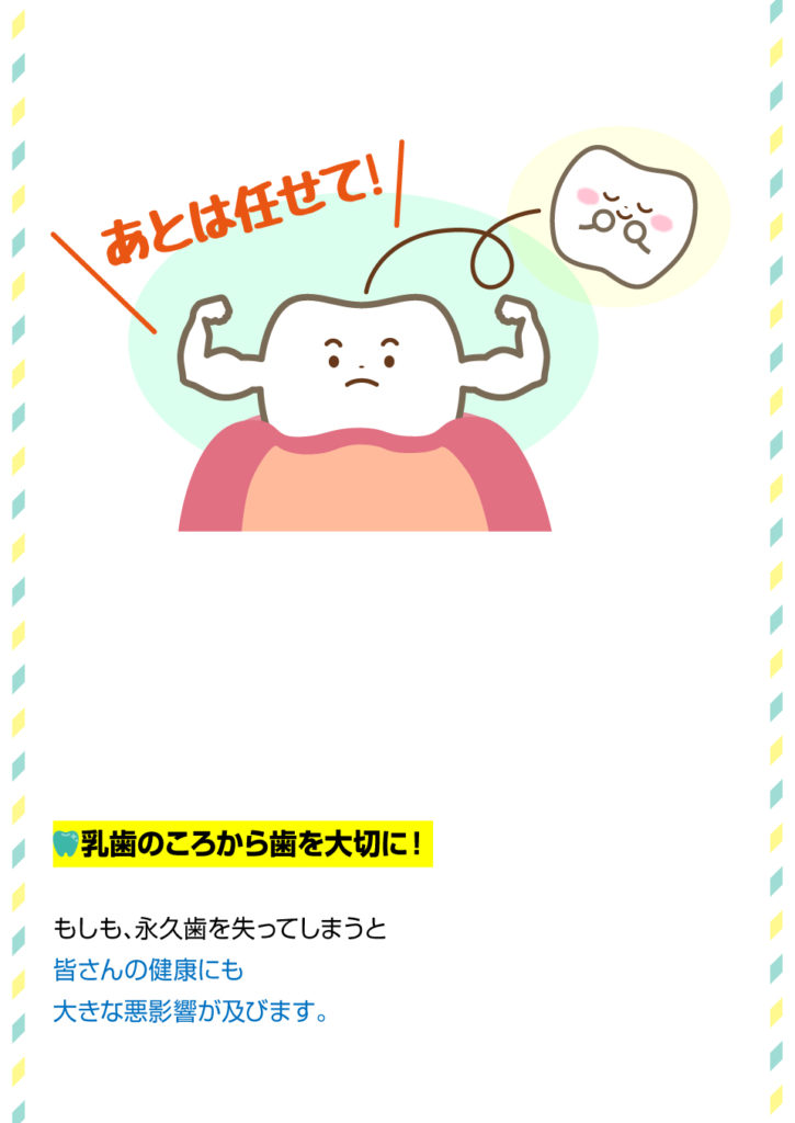 大人の歯と子どもの歯は何が違うの？ | スタッフブログ